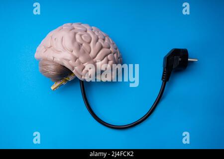 Refill Brain Intelligence With Socket Plug Stock Photo - Alamy