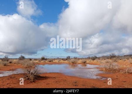 African savannah after a rain shower Stock Photo - Alamy