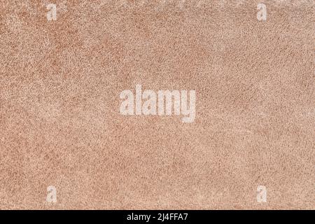 The ecru color beige leather sample. Background with copy space Stock ...