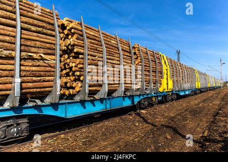 Wagons laden with wood in Czech Republic. Timber trading.Freight wagons ...