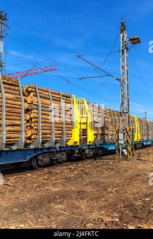 Wagons laden with wood in Czech Republic. Timber trading.Freight wagons ...
