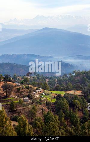 Terrace farming, Sitlakhet, Almora, Uttarakhand, India Stock Photo - Alamy