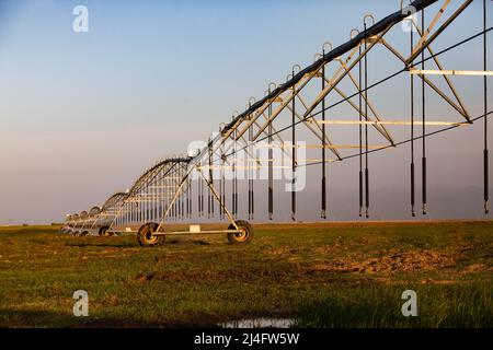 Modern drip irrigation system on grass field Stock Photo - Alamy