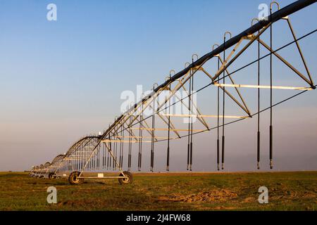Modern drip irrigation system on field Stock Photo - Alamy