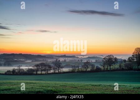 Spring misty dawn near Swacliffe in the oxfordshire countryside ...