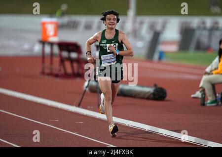 Dom Morganti of Portland State runs in the collegiate 10,000m during ...