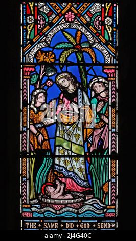 Moses, stained glass window in the Notre Dame Cathedral, UNESCO World ...