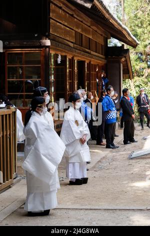 iida, nagano, japan, 2022/09/04 ,Shinto priest celebrating the final ...