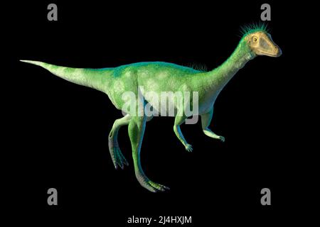 Artwork of Nyasasaurus parringtoni Stock Photo - Alamy