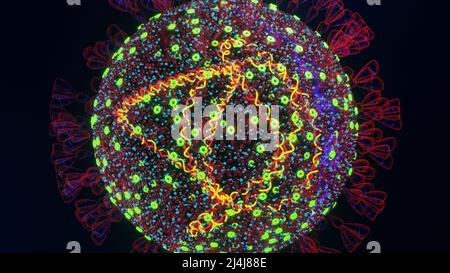Mutated Omicron SARS-CoV-2 viruses. Low polygonal computer model with ...
