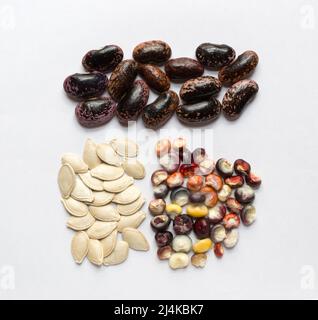 Squash, maize, and beans, the three sisters of Native American ...