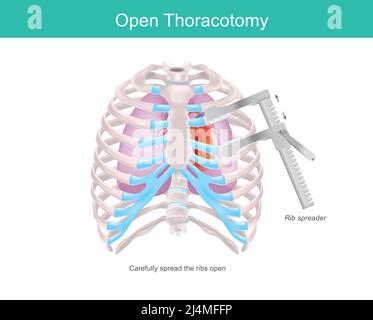 Human heart draw Stock Vector Image & Art - Alamy