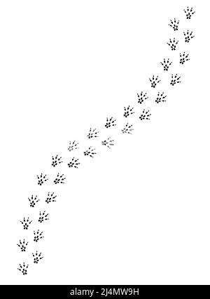 Vector black rat mouse foot print steps isolated on white background ...