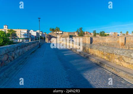 Roman bridge and Alcazaba fortress alongside river Guadiana in Merida ...