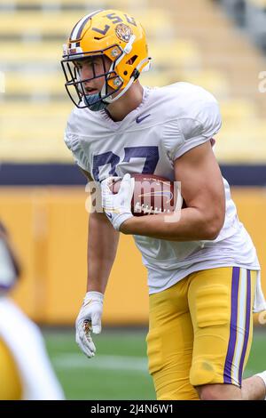 LSU tight end Kole Taylor (87) celebrates a touchdown that was called ...