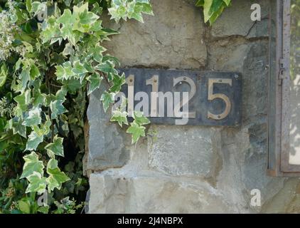 Sally George Actress Stock Photo - Alamy