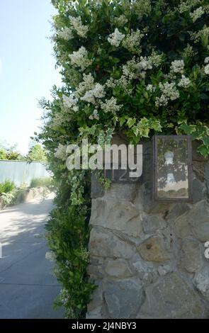 Sally George Actress Stock Photo - Alamy