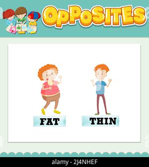 Opposite words for fat and thin illustration Stock Vector Image & Art ...