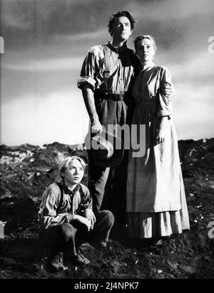 THE YEARLING (1946) JANE WYMAN, CLAUDE JARMAN JR YRLI 001P L Stock ...