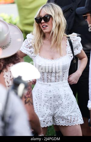 Sydney Sweeney at arrivals for 16th Annual Governors Awards, The Ray ...
