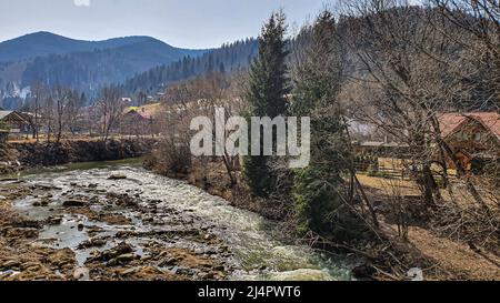 Nature of Western Ukraine. Mountains, rivers and forests. Shelter for ...