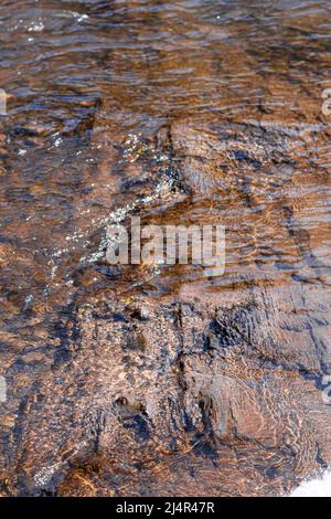 Nature of Western Ukraine. Mountains, rivers and forests. Shelter for ...