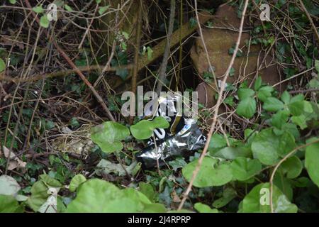 discarded mccoys crisp packet, england Stock Photo - Alamy