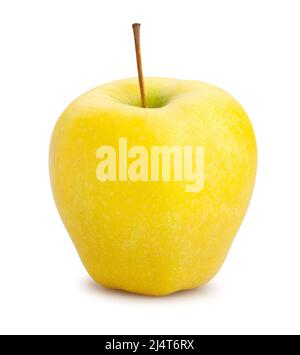 One fresh yellow apple on white background Stock Photo - Alamy