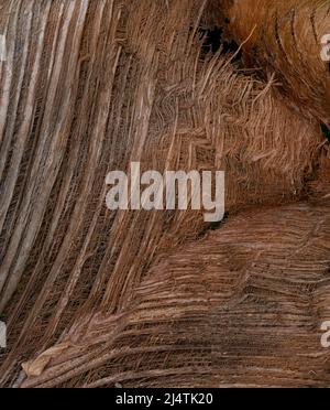 coconut fiber texture and background Stock Photo - Alamy