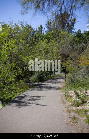 UC Davis Arboretum garden path, in the spring featuring open California ...