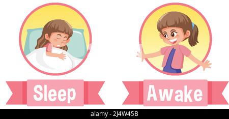 Opposite words with awake and sleep illustration Stock Vector Image ...
