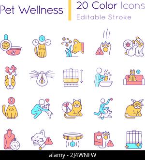 Pet wellness flat color vector infographic template Stock Vector Image ...