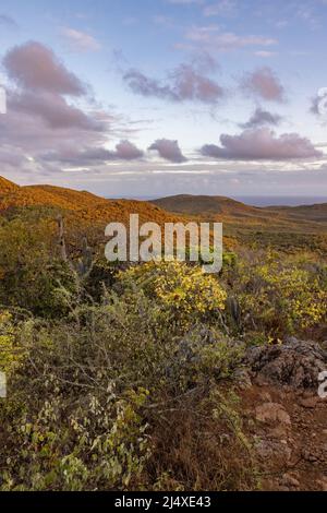 Sunrise over Christoffel National Park during the hike up to the top of ...