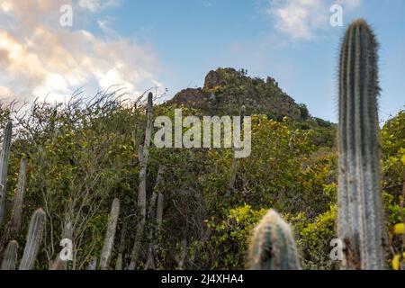 Sunrise over Christoffel National Park during the hike up to the top of ...