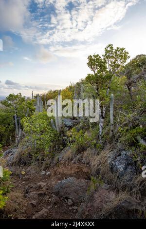 Sunrise over Christoffel National Park during the hike up to the top of ...