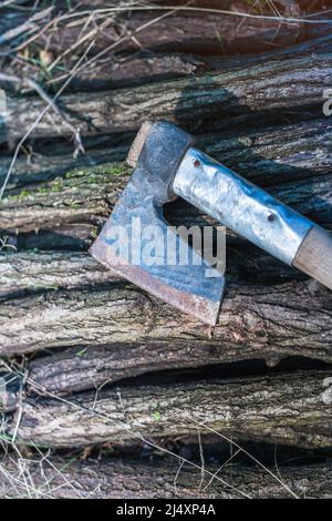 Old axe laying on old wood log Stock Photo - Alamy