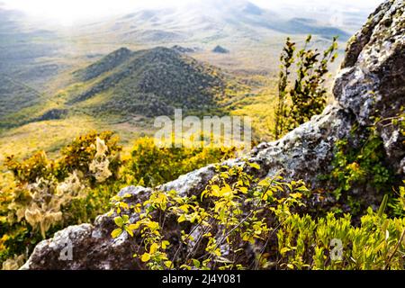 View from Mount Christoffel down to Christoffel National Park on the ...