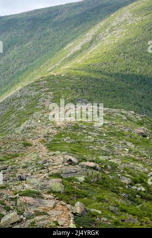 Bondcliff Trail towards Mount Bond during the summer months Located in ...