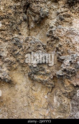 Coral cliff at the shore of Playa Jeremi on the Caribbean island ...
