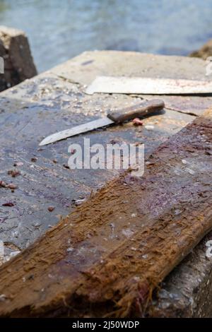 Gutting table made of stone and tools for processing fresh fish at ...