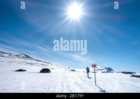 Storlien, Sweden 20220417. Woman skiing in sunny weather at ...