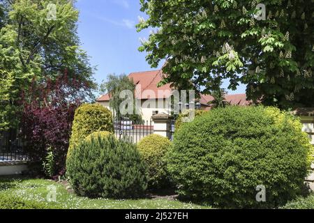 Beautiful city park in Wieliczka, Poland Stock Photo - Alamy