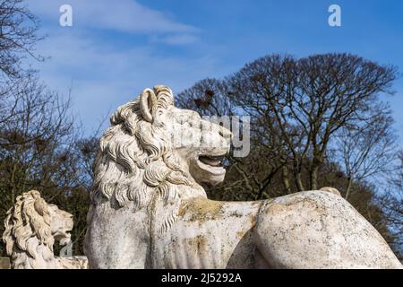 The Lion statues of the Tenantry Column at Alnwick, Northumberland ...