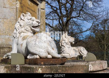 The Lion statues of the Tenantry Column at Alnwick, Northumberland ...