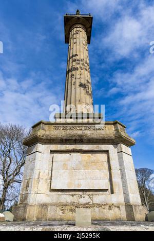 The Lion statues of the Tenantry Column at Alnwick, Northumberland ...