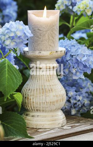 A candle among beautiful blue hortensia flowers in the garden. Party ...