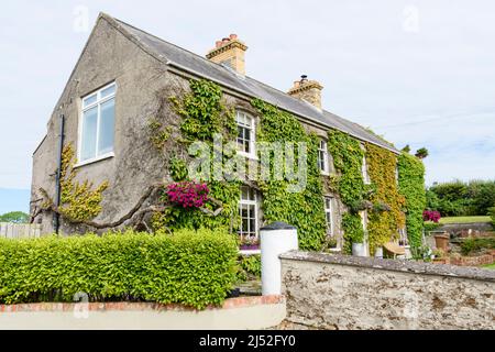 Old Irish farmhouse, built and altered between 1880 and 1930, covered ...