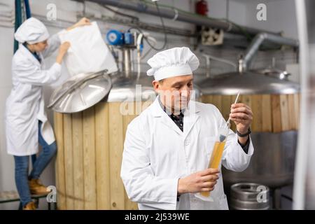 Brewery owner checking alcoholic content in beer with hydrometer Stock ...