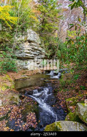 Falling Water, Mill Run, United States. Architect: Frank Lloyd Wright ...