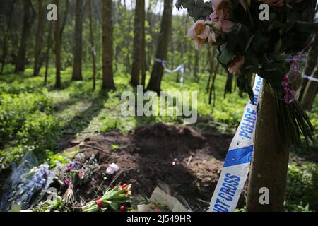 Crime Scene, shallow grave with flowers in the woods Stock Photo - Alamy